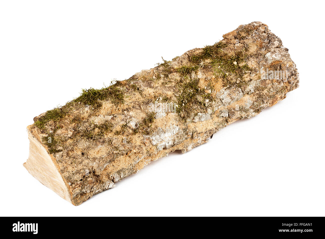 One piece of firewood isolated on white background Stock Photo - Alamy
