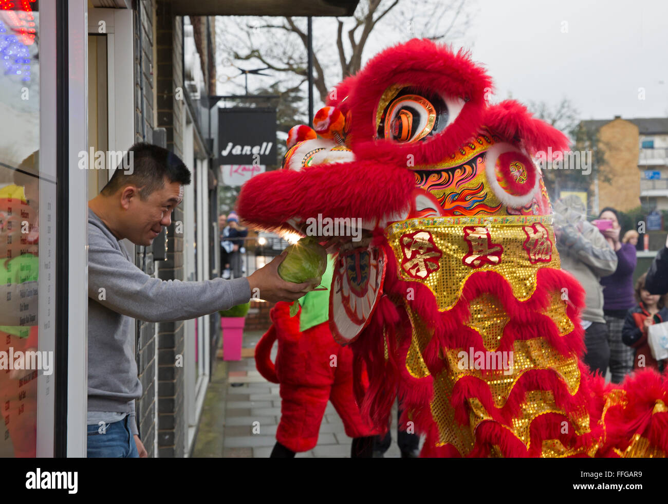 Chinese year cabbage lion hi-res stock photography and images - Alamy