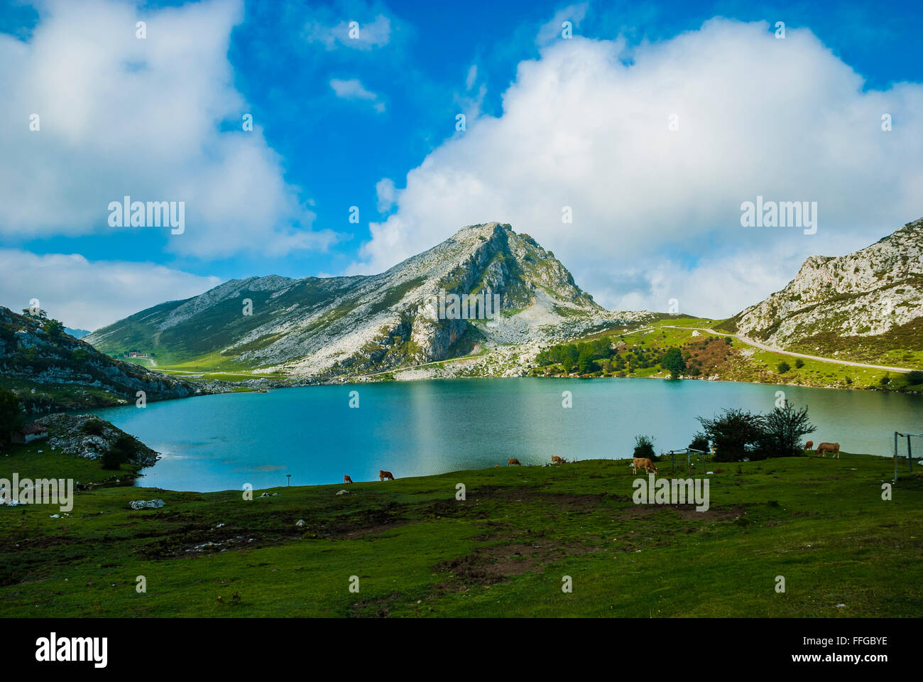 Lake Enol. The Lakes of Covadonga are composed of two glacial lakes ...