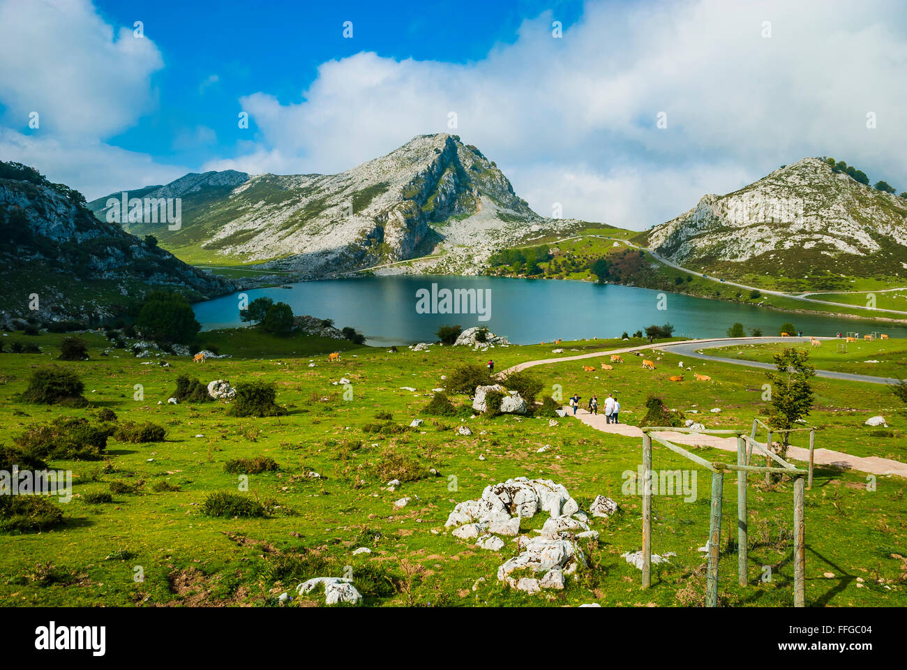 Lake Enol. The Lakes of Covadonga are composed of two glacial lakes ...