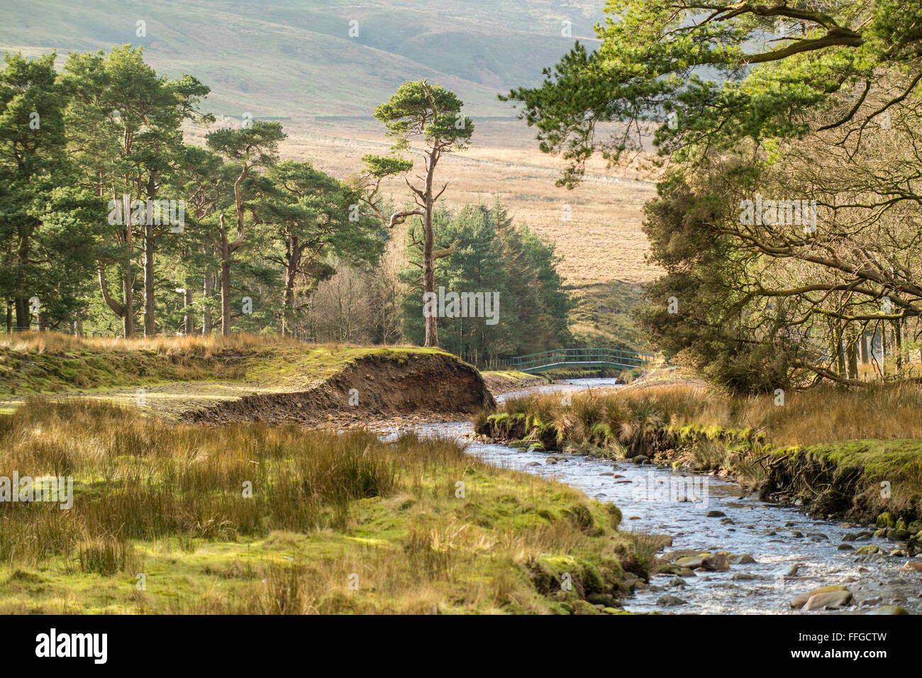 Forest of Bowland A.O.N.B Stock Photo - Alamy