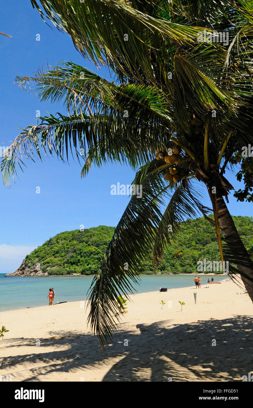 Koh ma beach koh phangan thailand Stock Photo - Alamy