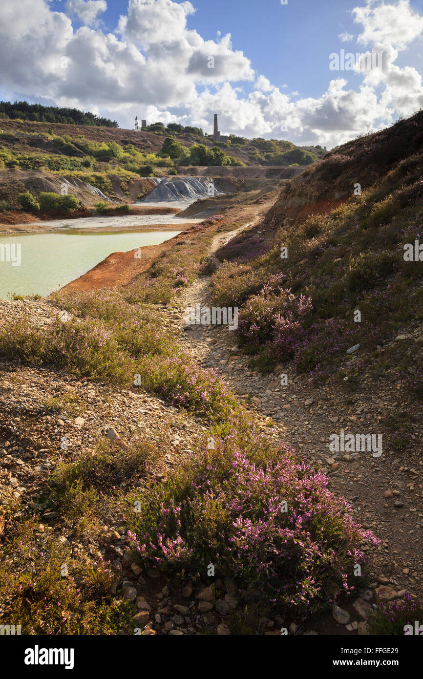 Wheal maid hi-res stock photography and images - Alamy