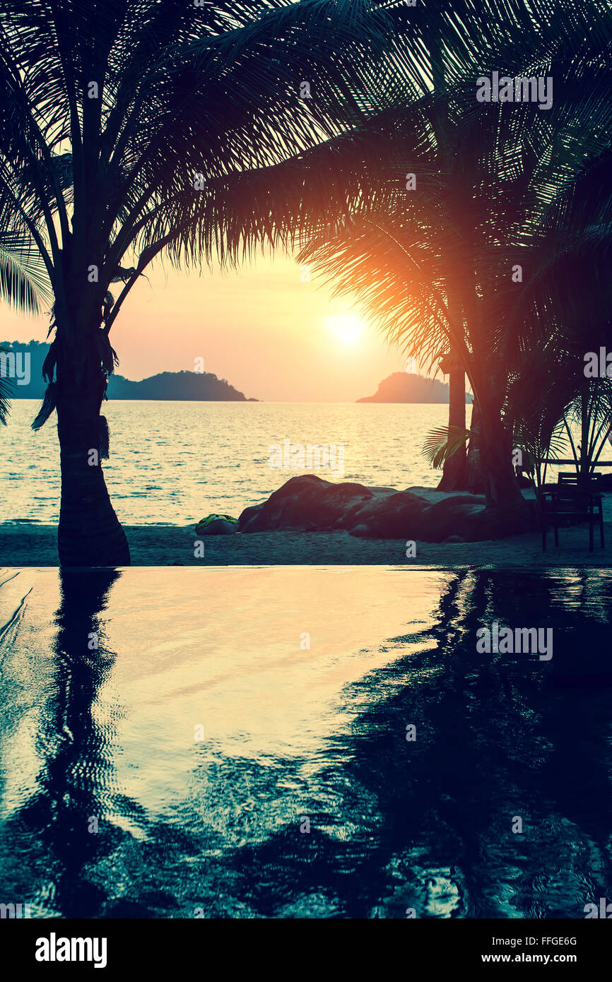Tropical beach with palm trees during amazing sunset Stock Photo - Alamy