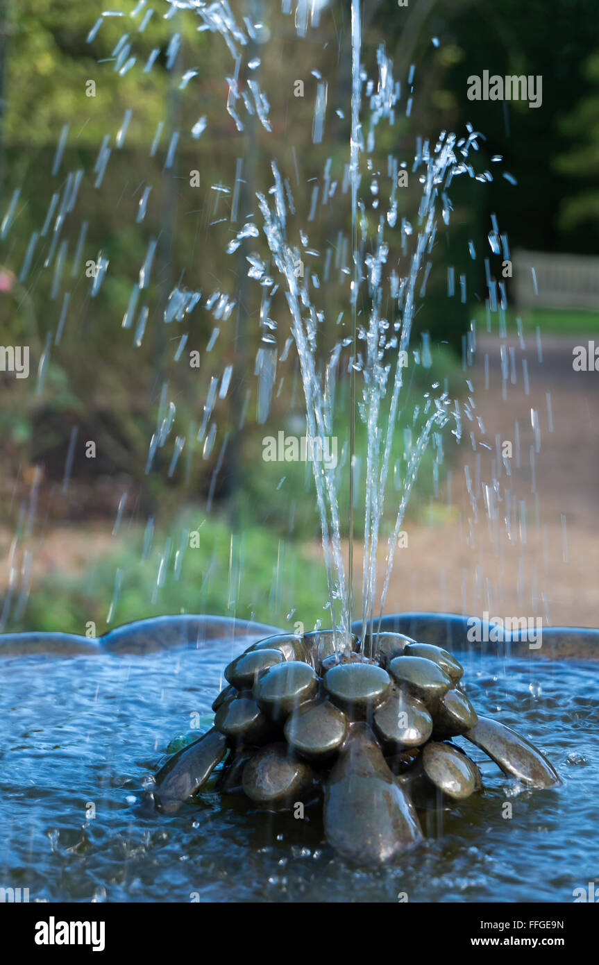 Small pool feature hi-res stock photography and images - Alamy