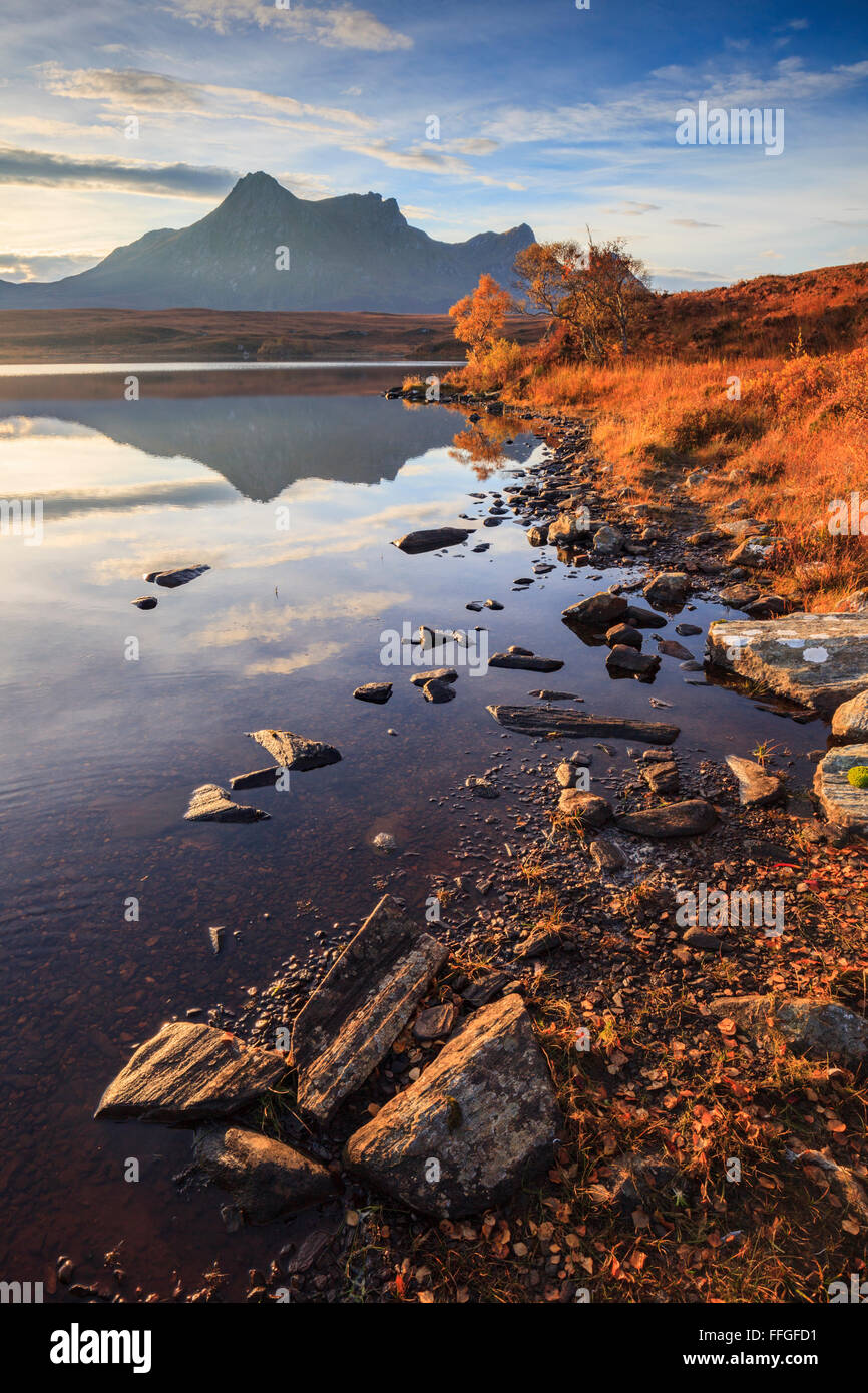 Ben loyal hi-res stock photography and images - Alamy