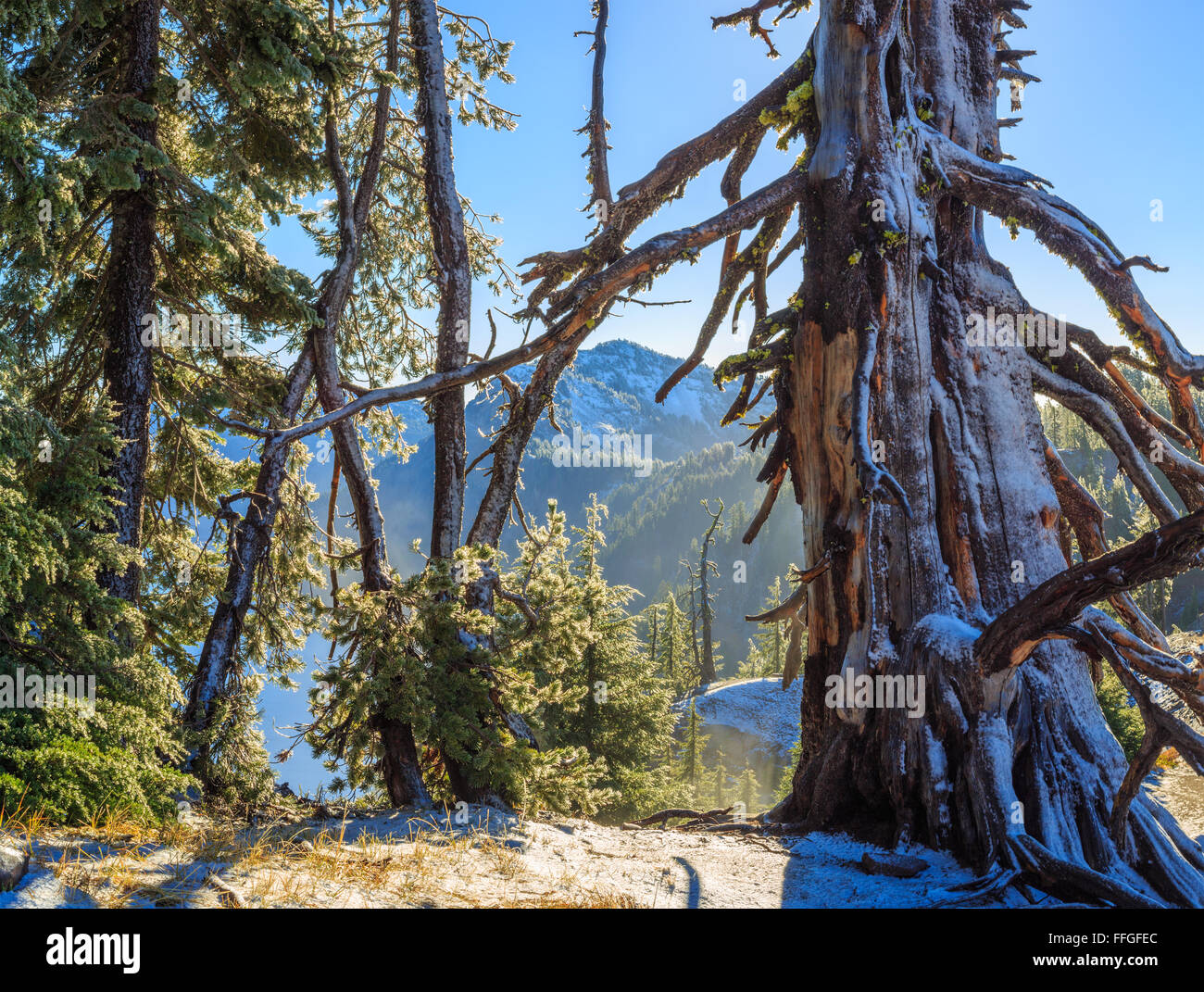 america, beautiful, blue, caldera, cliffs, crater, deep, forest, island ...