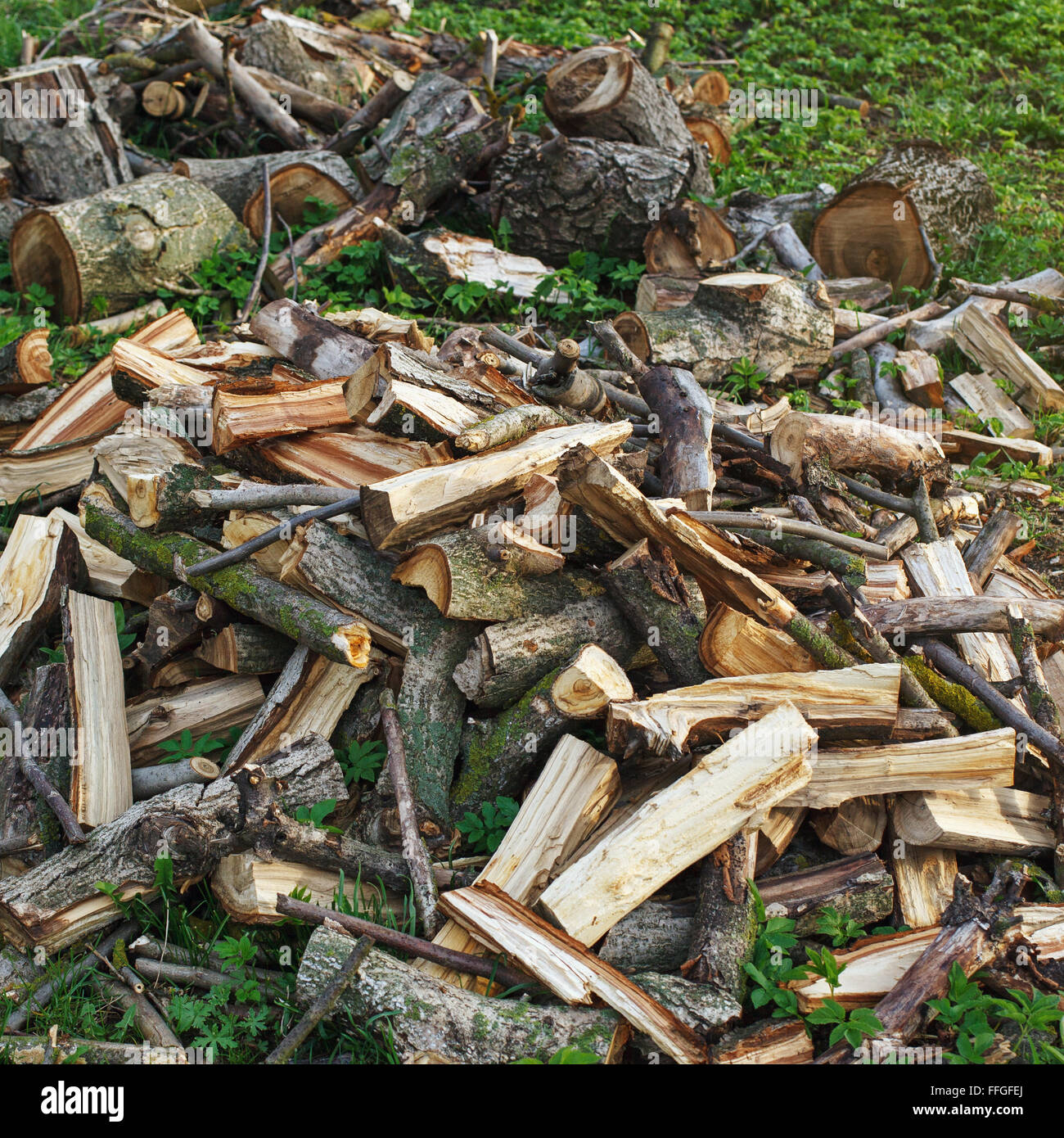 Timber wood stack pile stacked hi-res stock photography and images - Alamy
