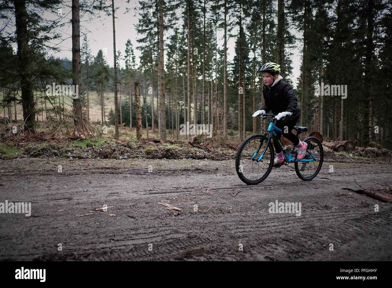 Girl cycling her bike on a trail in woodland Stock Photo - Alamy