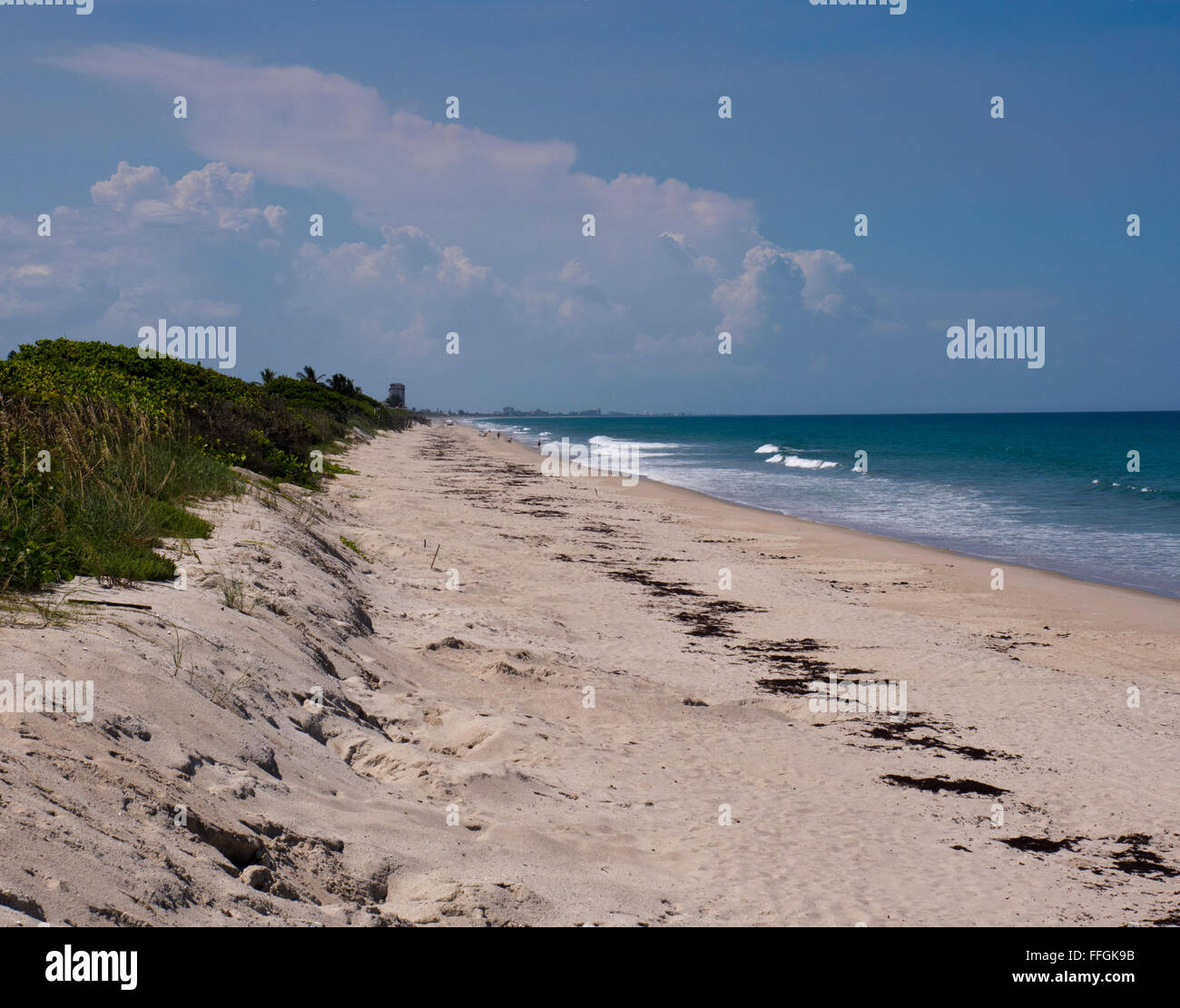 Brevard hi-res stock photography and images - Alamy