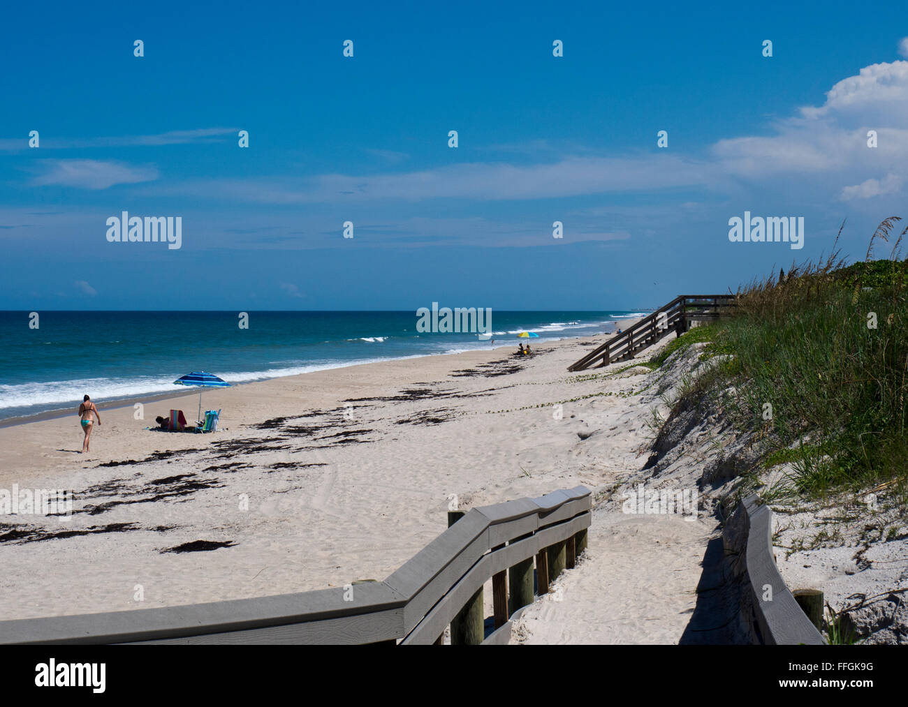 Brevard hi-res stock photography and images - Alamy