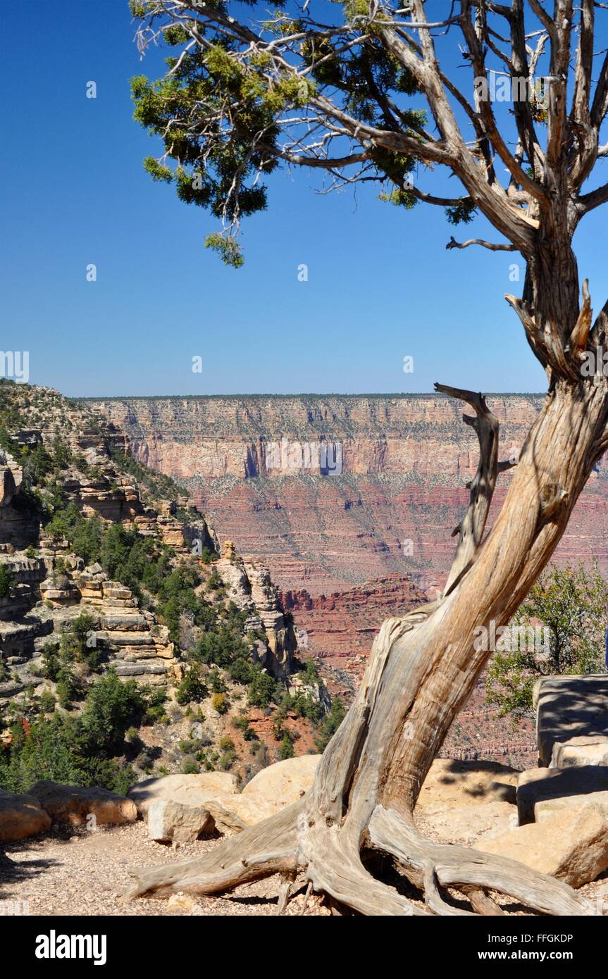 Grandview Trail, Grand Canyon National Park, Arizona Stock Photo - Alamy