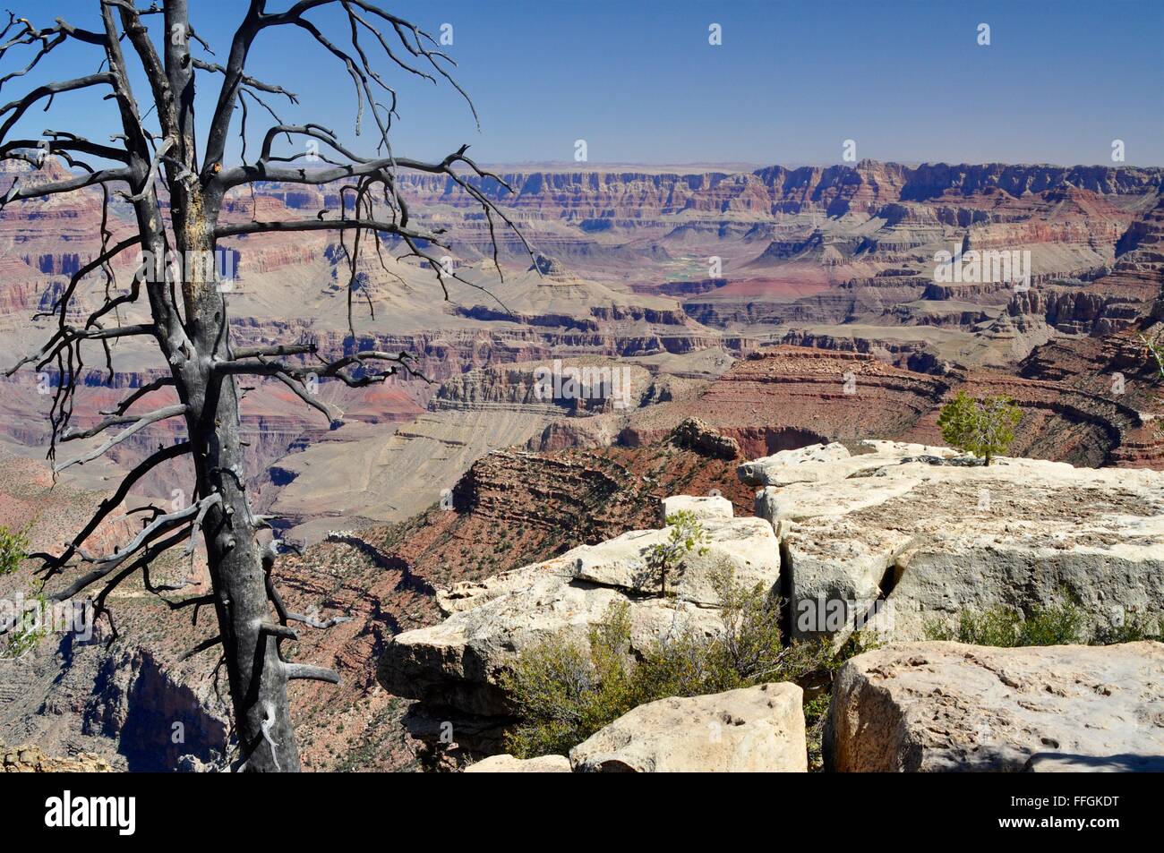 Grandview Trail, Grand Canyon National Park, Arizona Stock Photo - Alamy