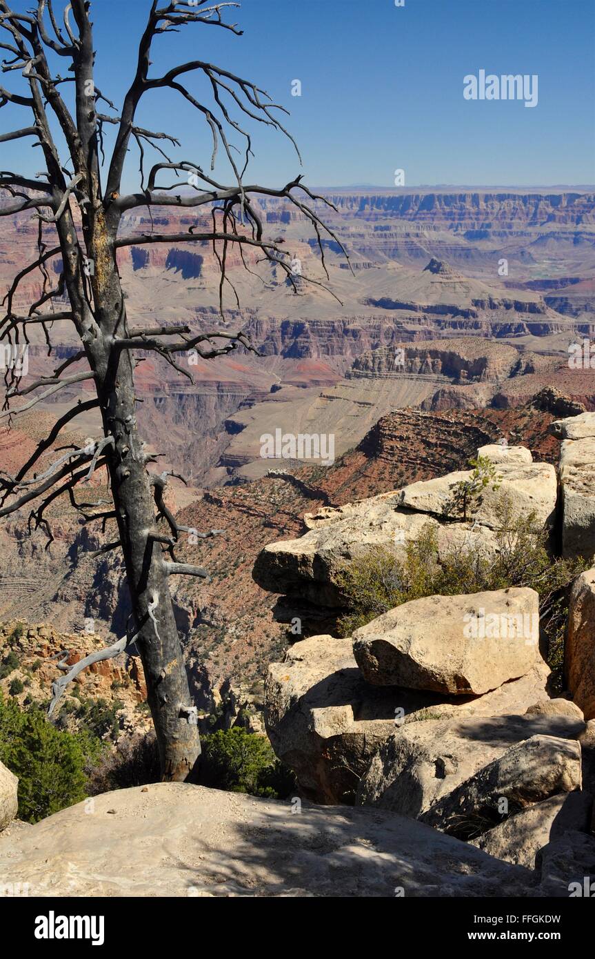 Grandview Trail, Grand Canyon National Park, Arizona Stock Photo - Alamy