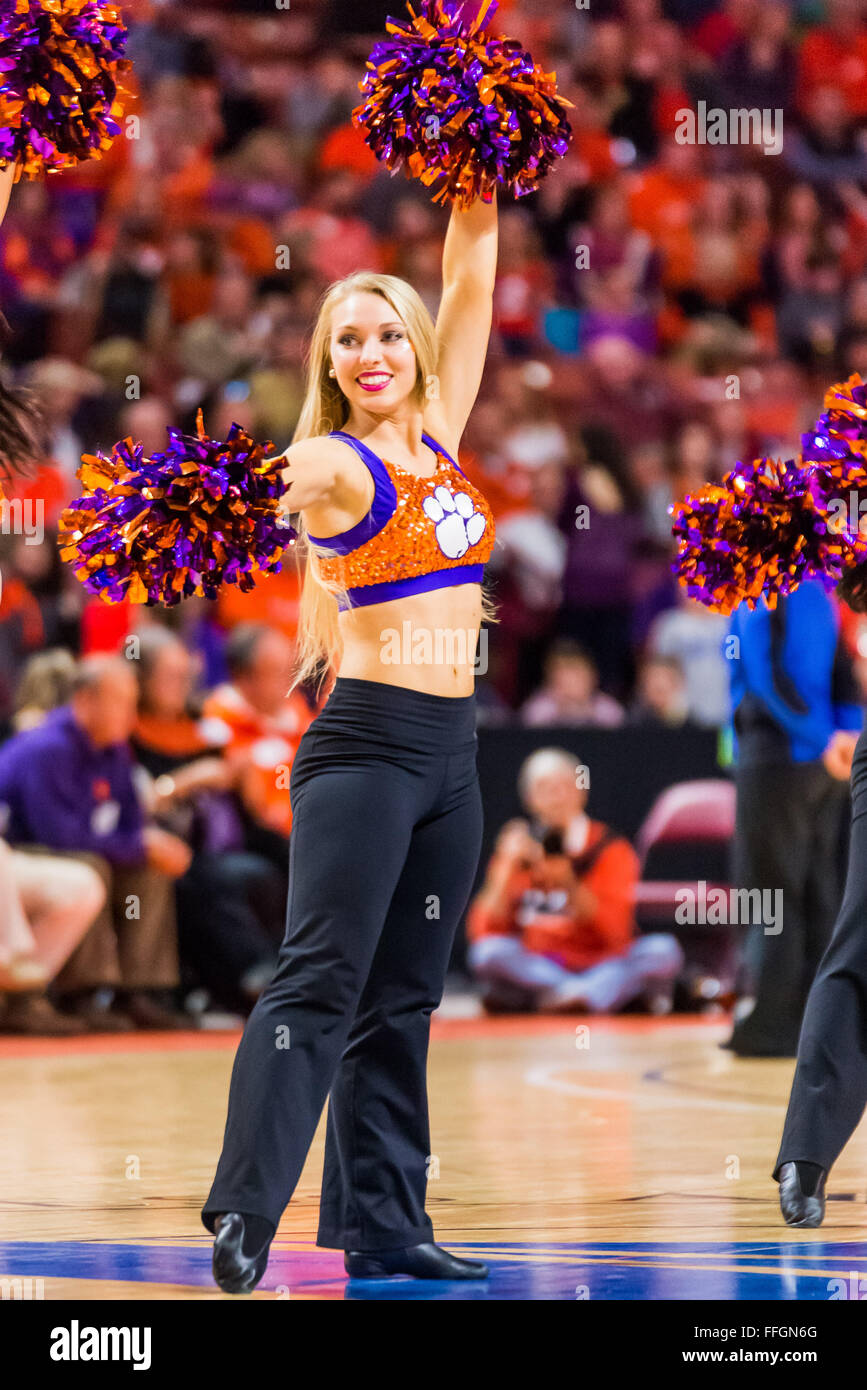 Clemson Rally Cat Clemson Rally Cat performs during a time out in the ...