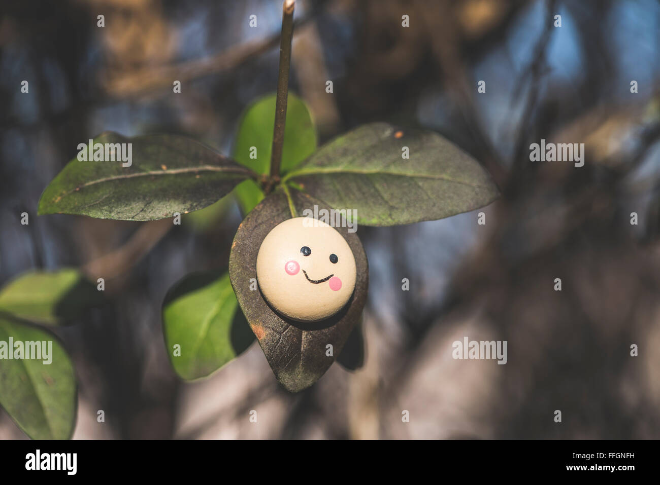Smile icon miniature on tree twig Stock Photo - Alamy