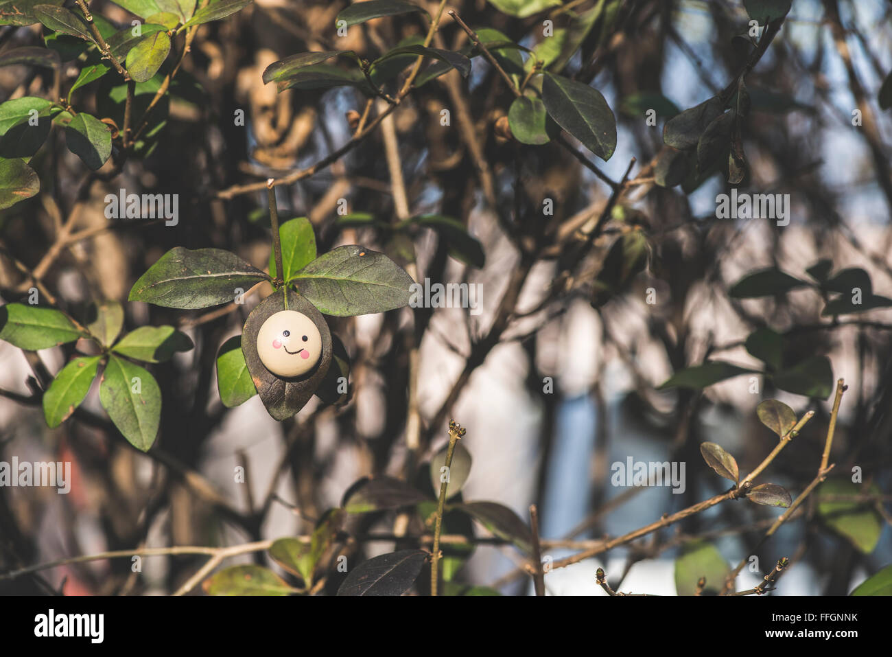 Smile icon miniature on tree twig Stock Photo - Alamy