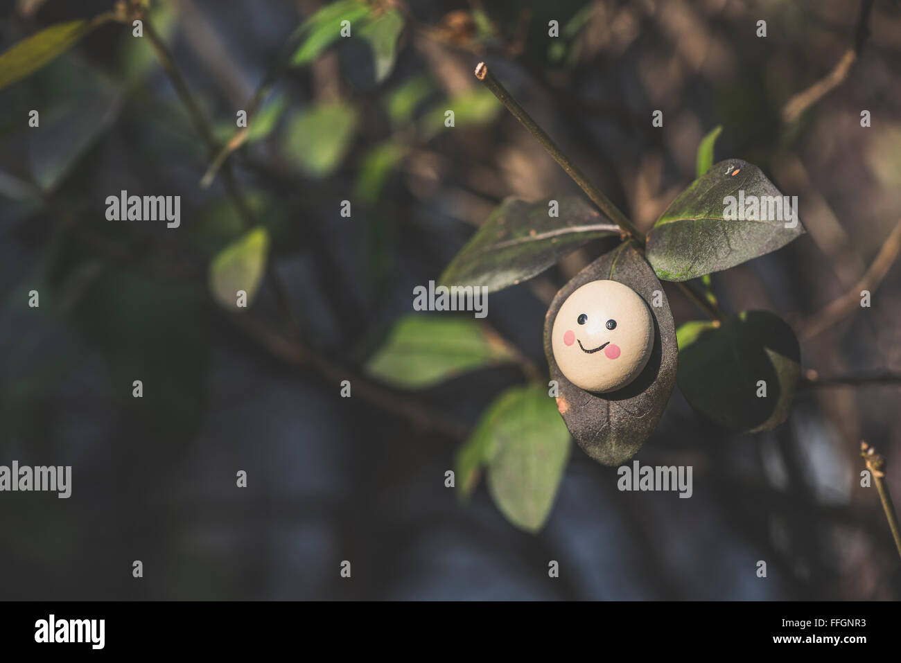 Smile icon miniature on tree twig Stock Photo - Alamy