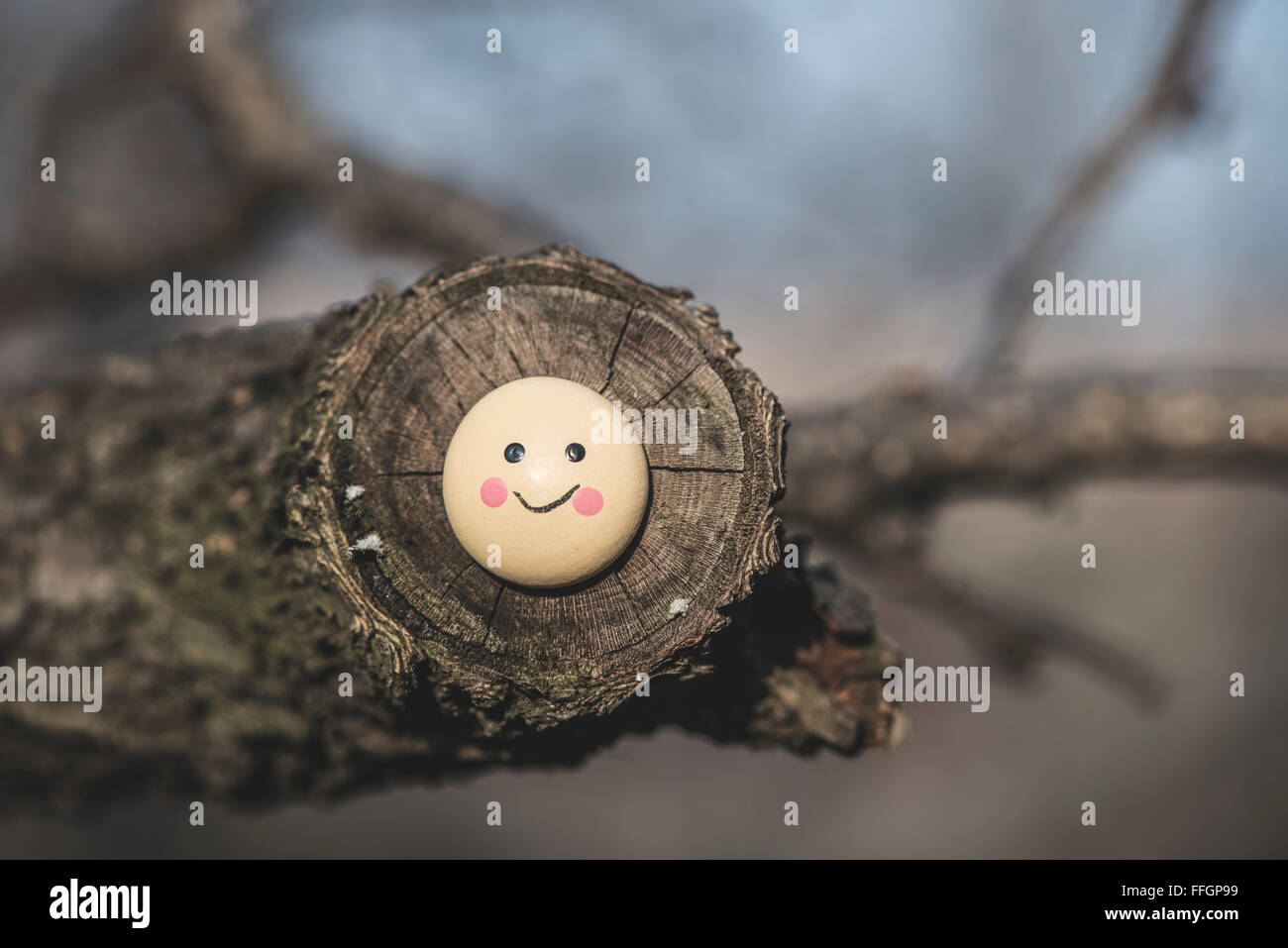 Smile icon miniature on tree twig Stock Photo - Alamy