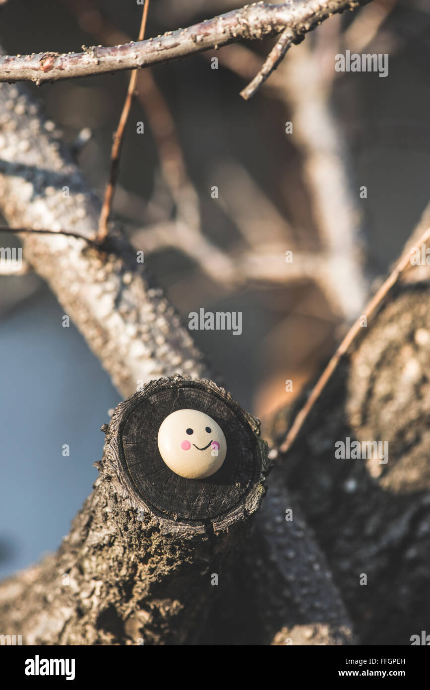 Smile icon miniature on tree twig Stock Photo - Alamy