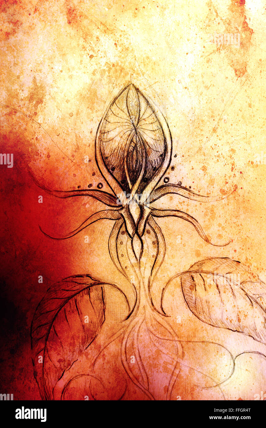 pencil drawing on old paper. Ornamental flower. And sepia color Stock ...