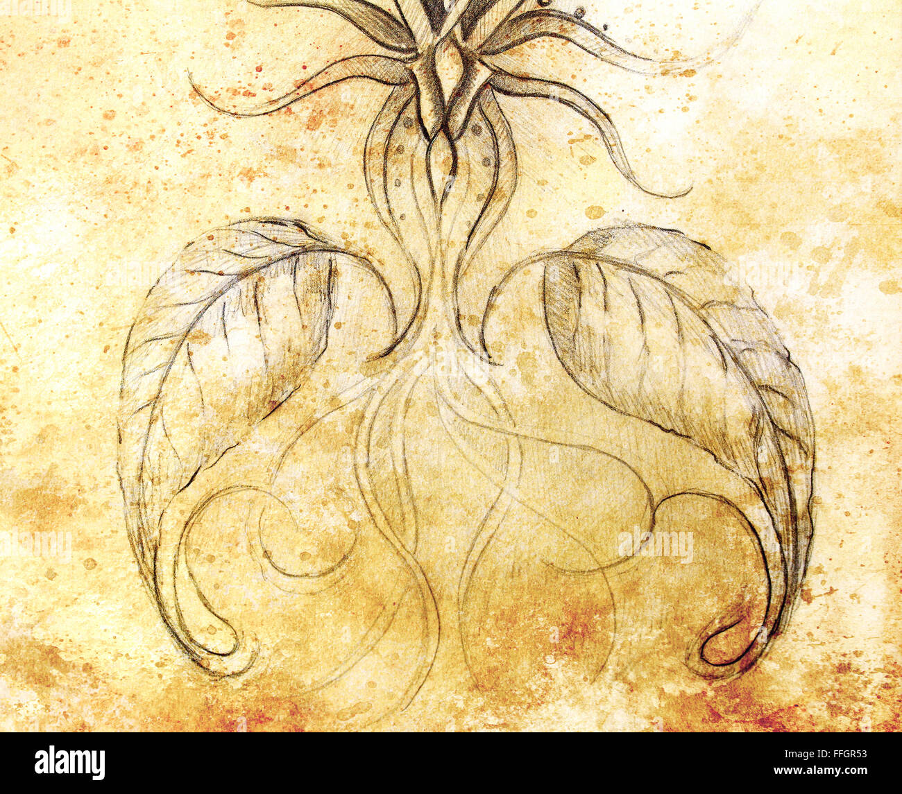 pencil drawing on old paper. Ornamental flower. And sepia color Stock ...