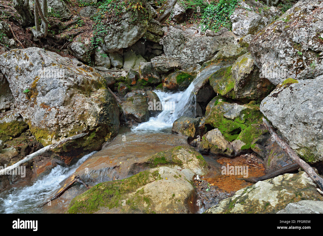 Rapid mountain river among forest hi-res stock photography and images ...