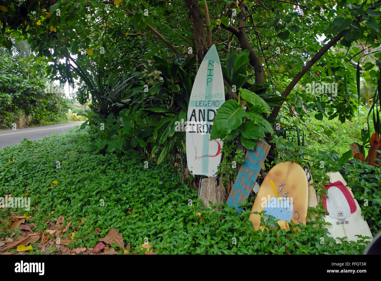 Surf Boards honoring Andy Irons, world famous Professional competitive ...