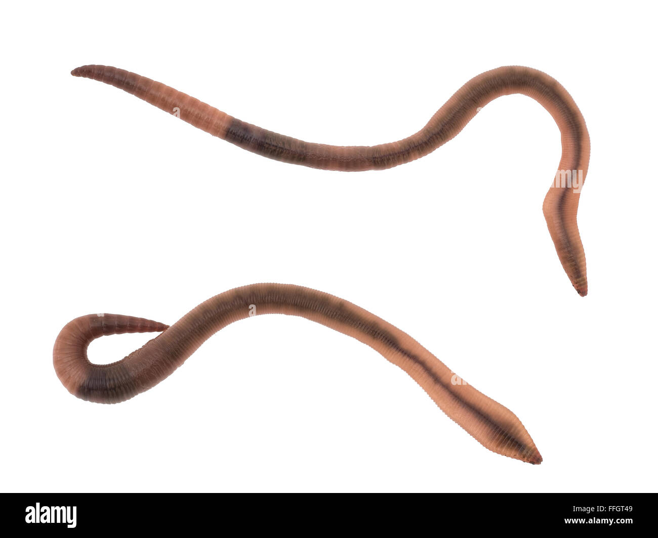 Junior science hi-res stock photography and images - Alamy