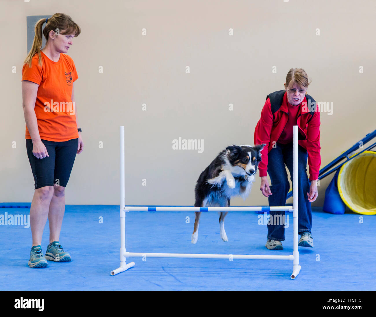 Professional female dog handler training hi-res stock photography and ...