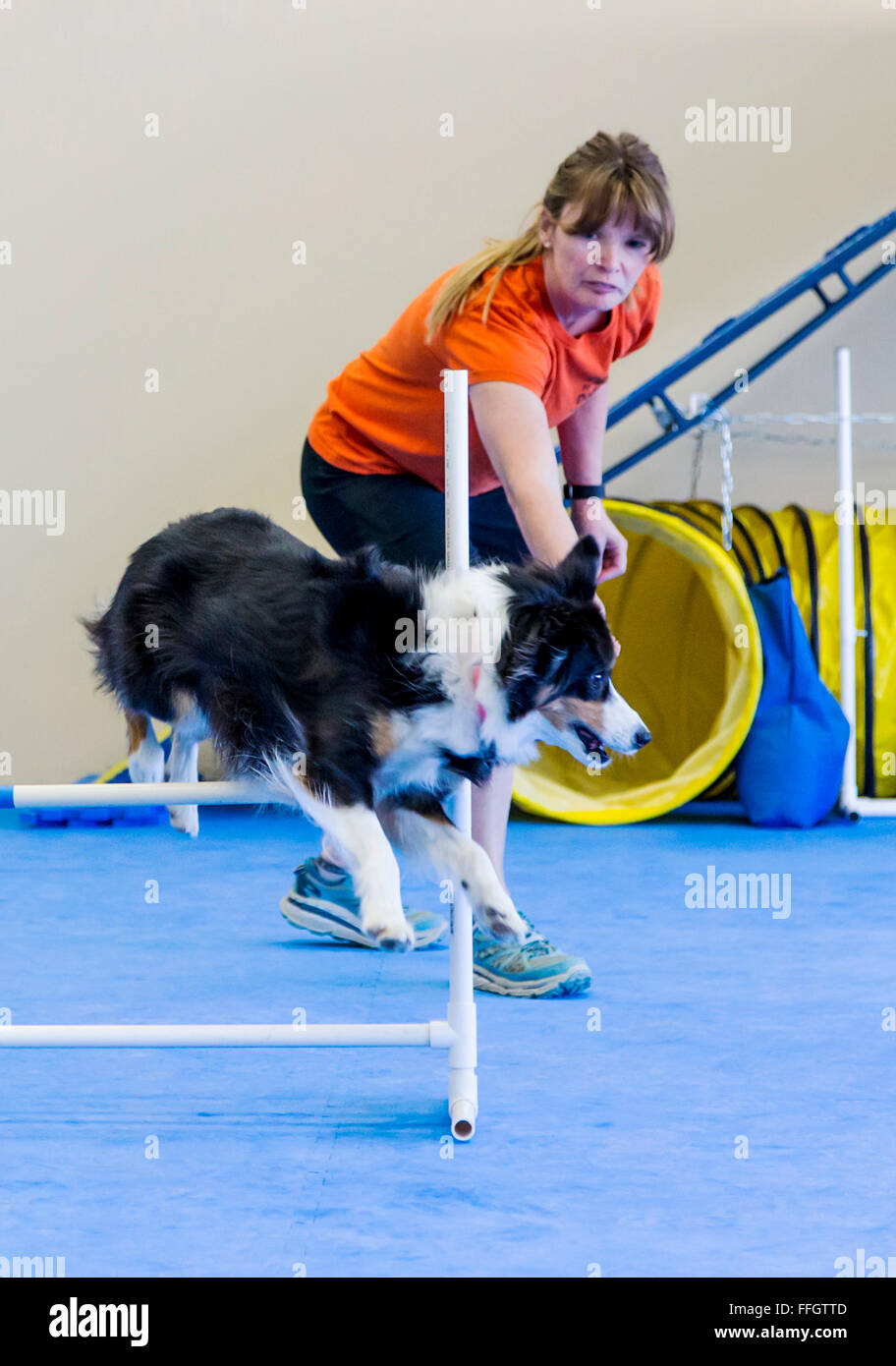 Animal training hi-res stock photography and images - Alamy
