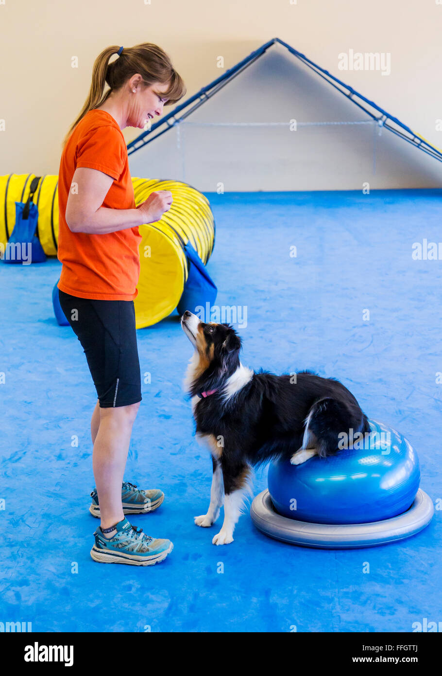 Animal trainer hi-res stock photography and images - Alamy