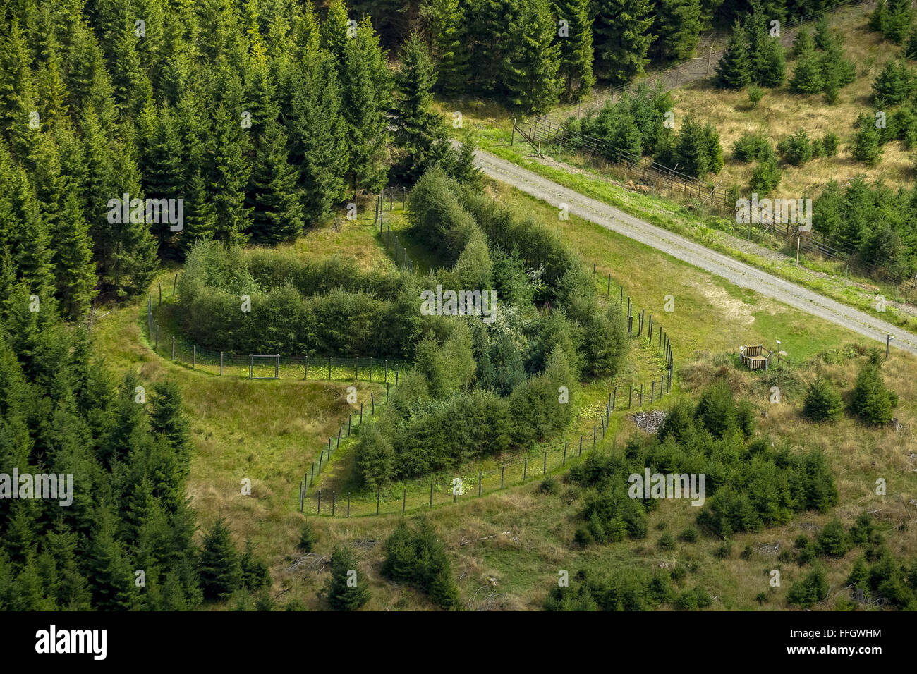 Alan sonfist hi-res stock photography and images - Alamy