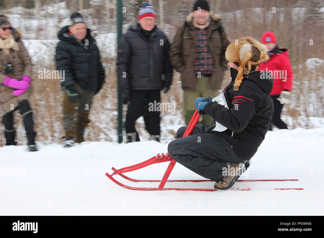 Hurdal, Norway. 14th February 2016. contestants and audience at the ...