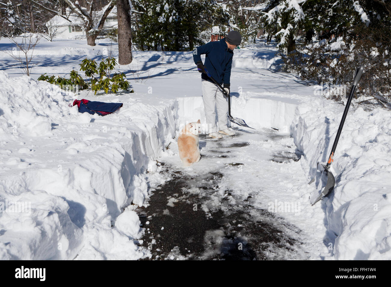 Man shoveling hi-res stock photography and images - Alamy