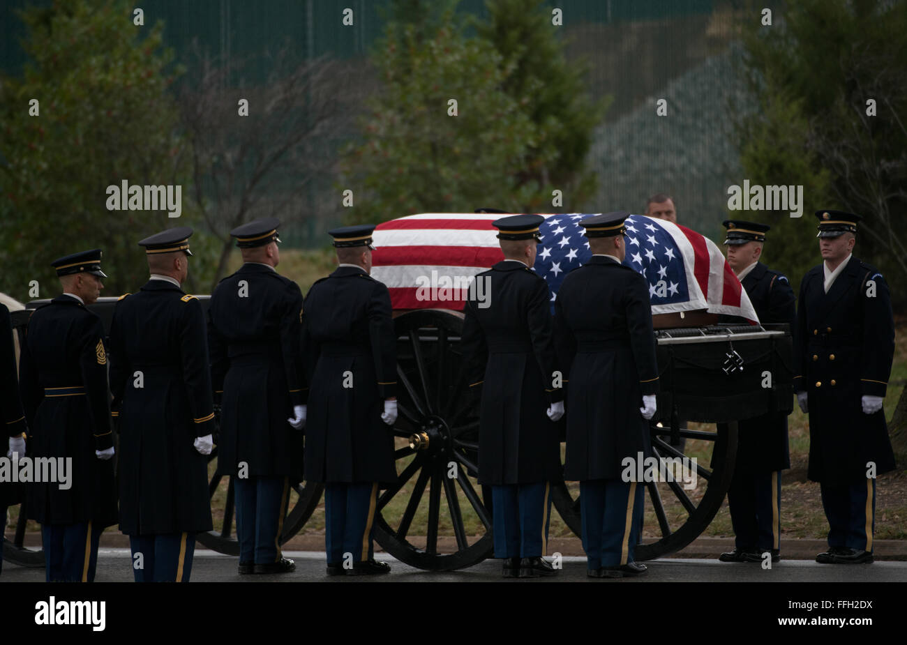 Members of the Army's 3rd Infantry Regiment's Caisson Platoon align to ...