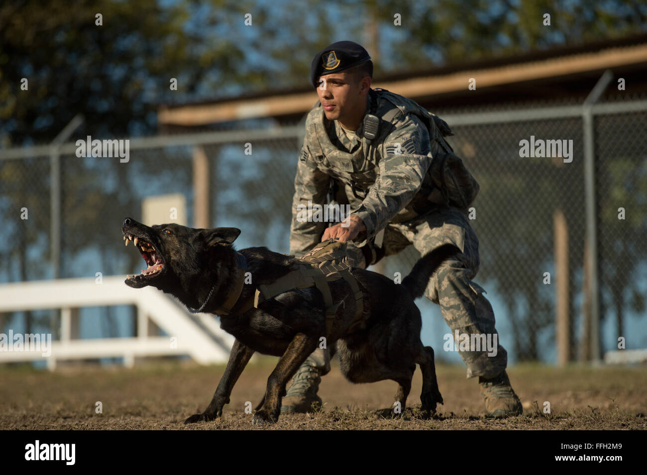 802nd security forces hi-res stock photography and images - Alamy