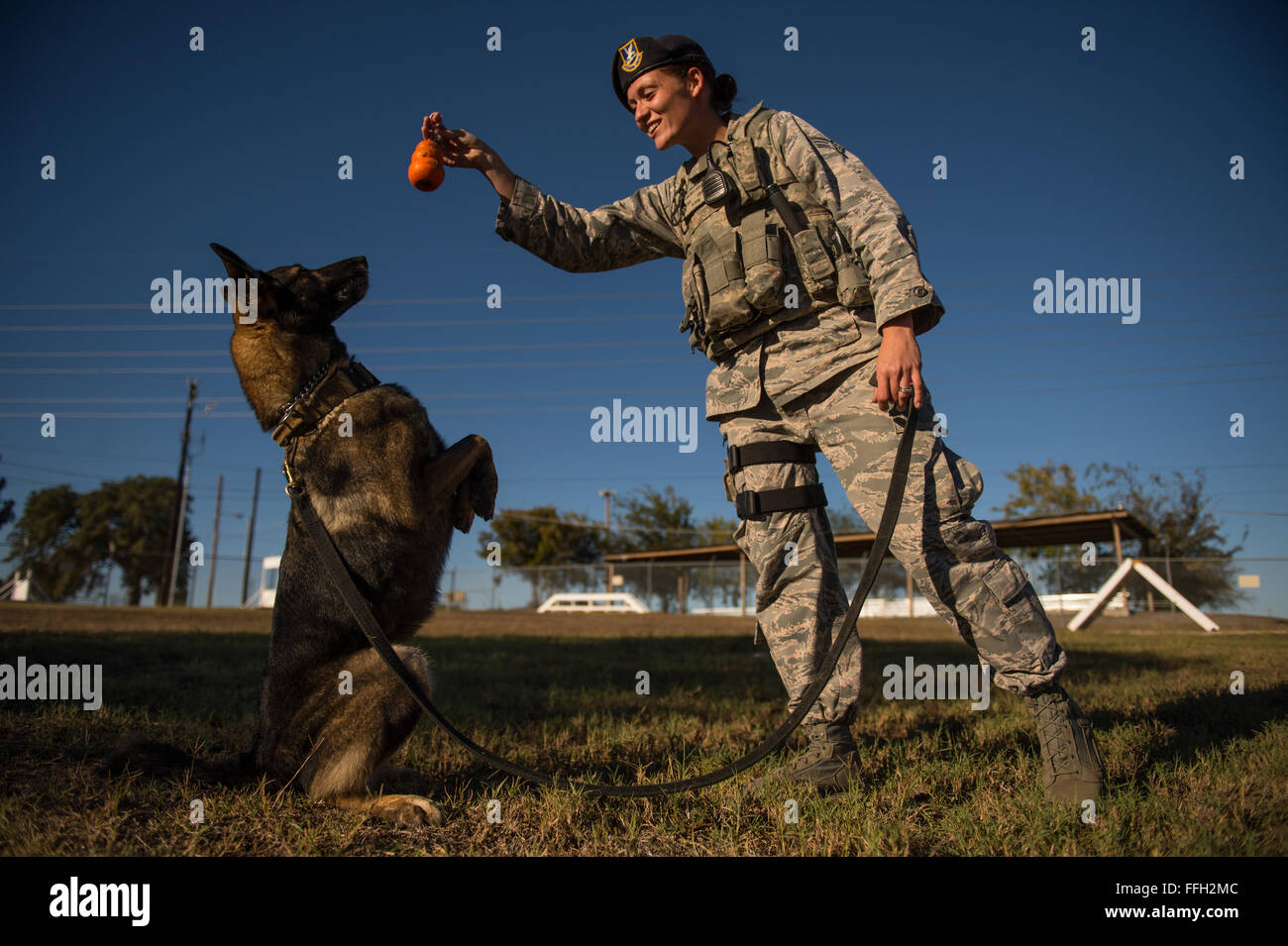 Senior Airman Chelsea LaFever gestures for ZZusa to "sit pretty" during ...