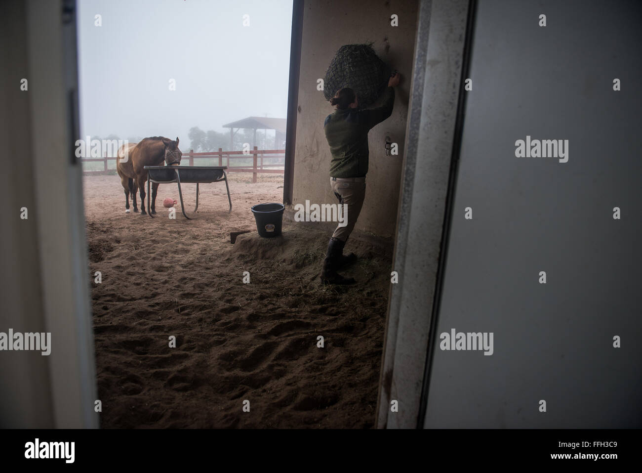 Reserve Staff Sgt. Lauren Daniels prepares a hay net for Buck, a ...
