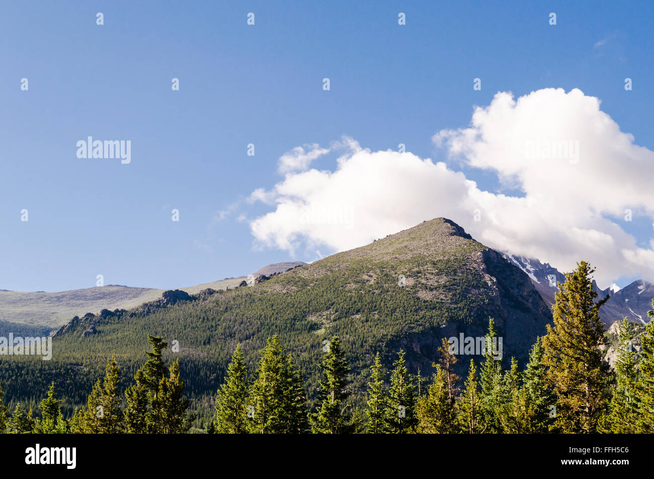 landscape of a mountain peak and forest in the morning Stock Photo - Alamy