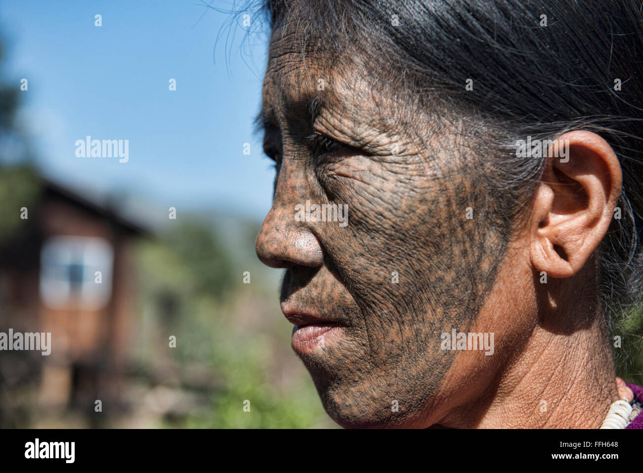 A Ngaya Chin (Daai) woman with face tattoo, Kanpetlet, Myanmar Stock ...