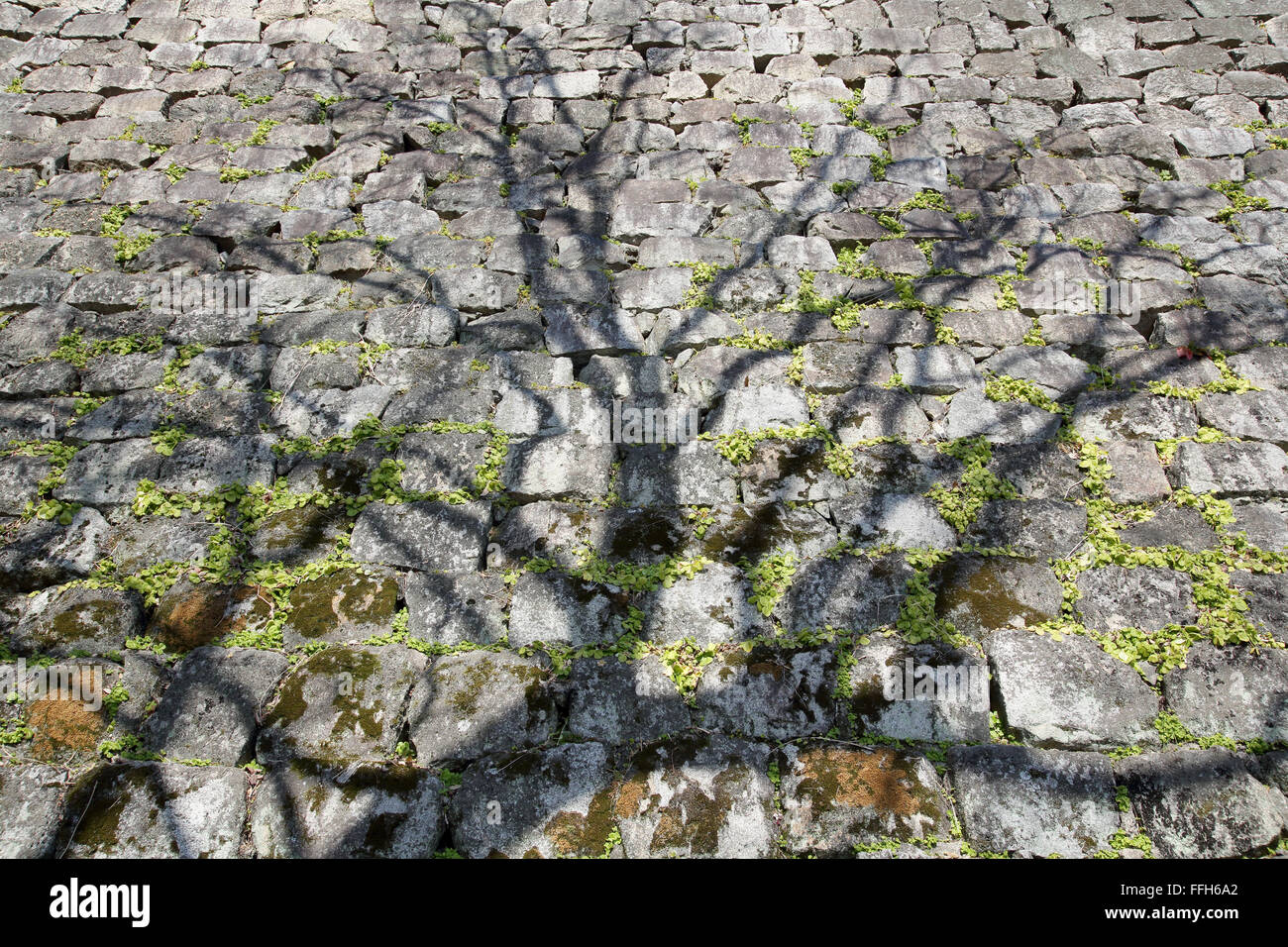 shadow of tree on weathered stone wall, japanese castle Stock Photo - Alamy