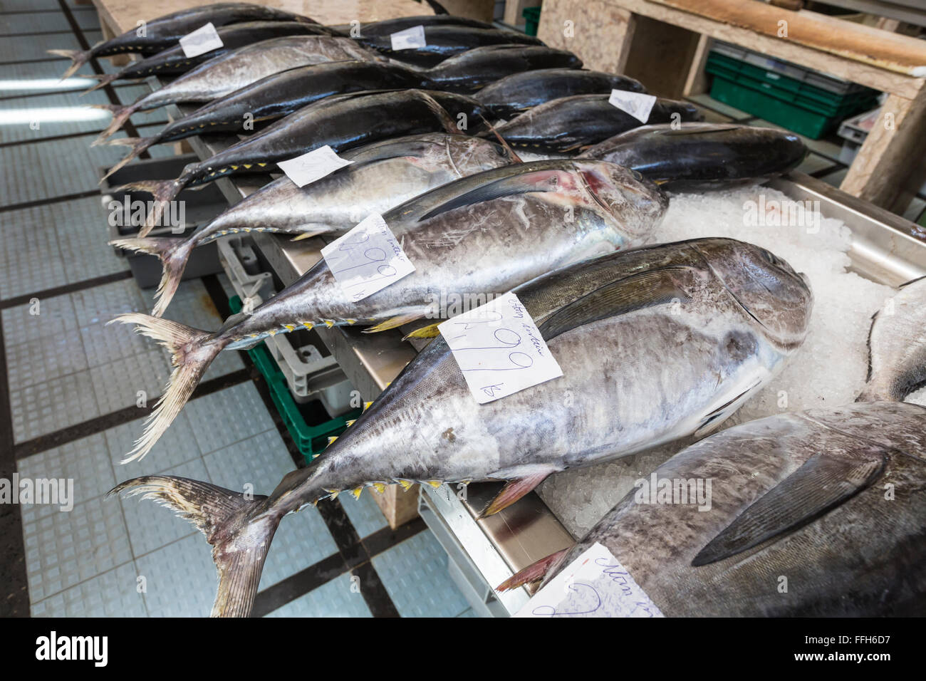 Fish market in Funchal, Madeira Stock Photo - Alamy