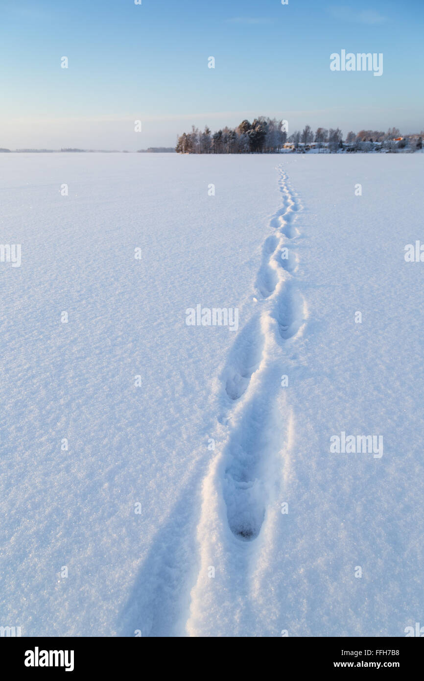 Path at a frozen and snowy lake in Finland at a clear morning in the ...