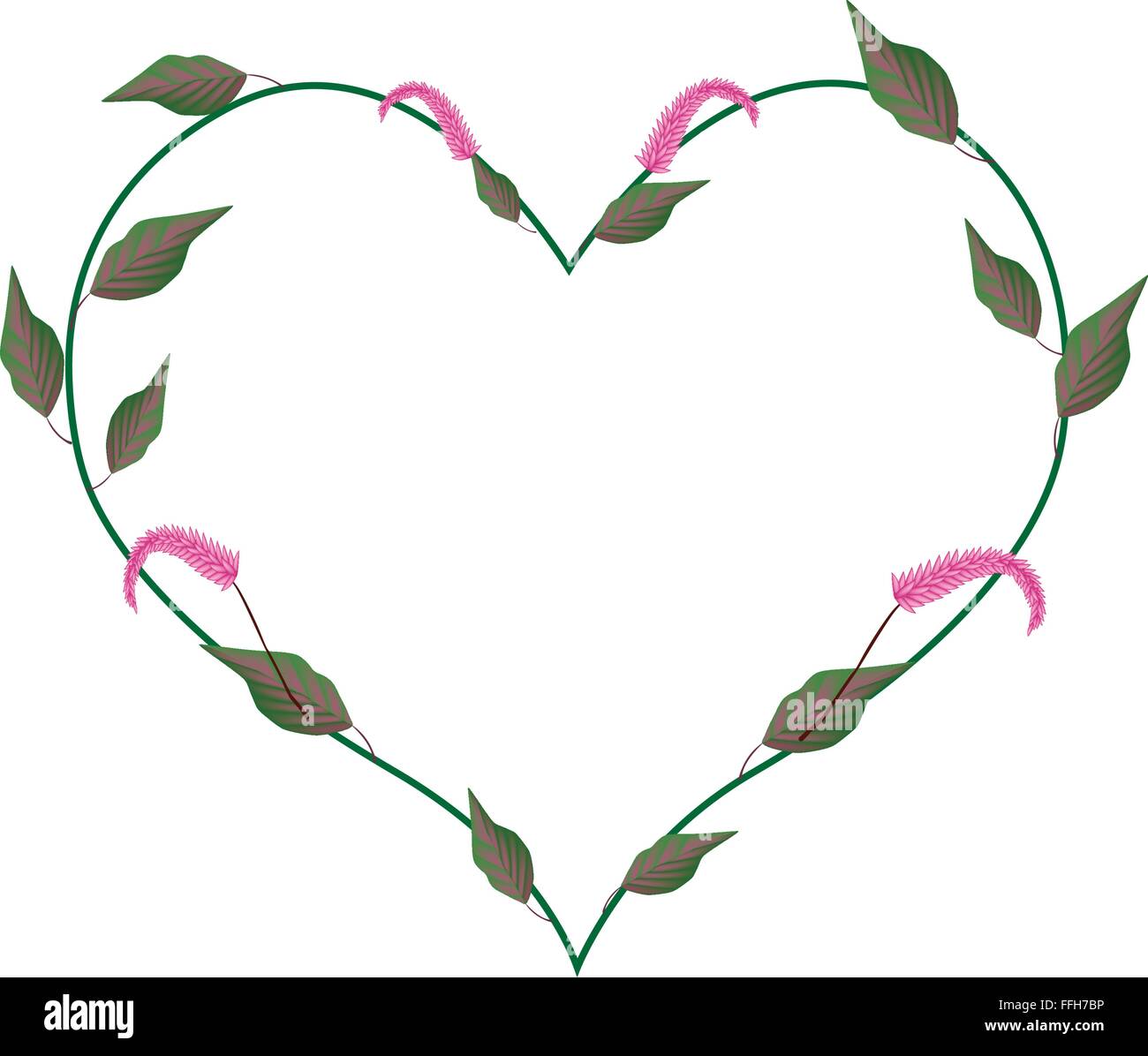 Love Concept, Illustration of Heart Shape Frame Made of Amaranth or ...