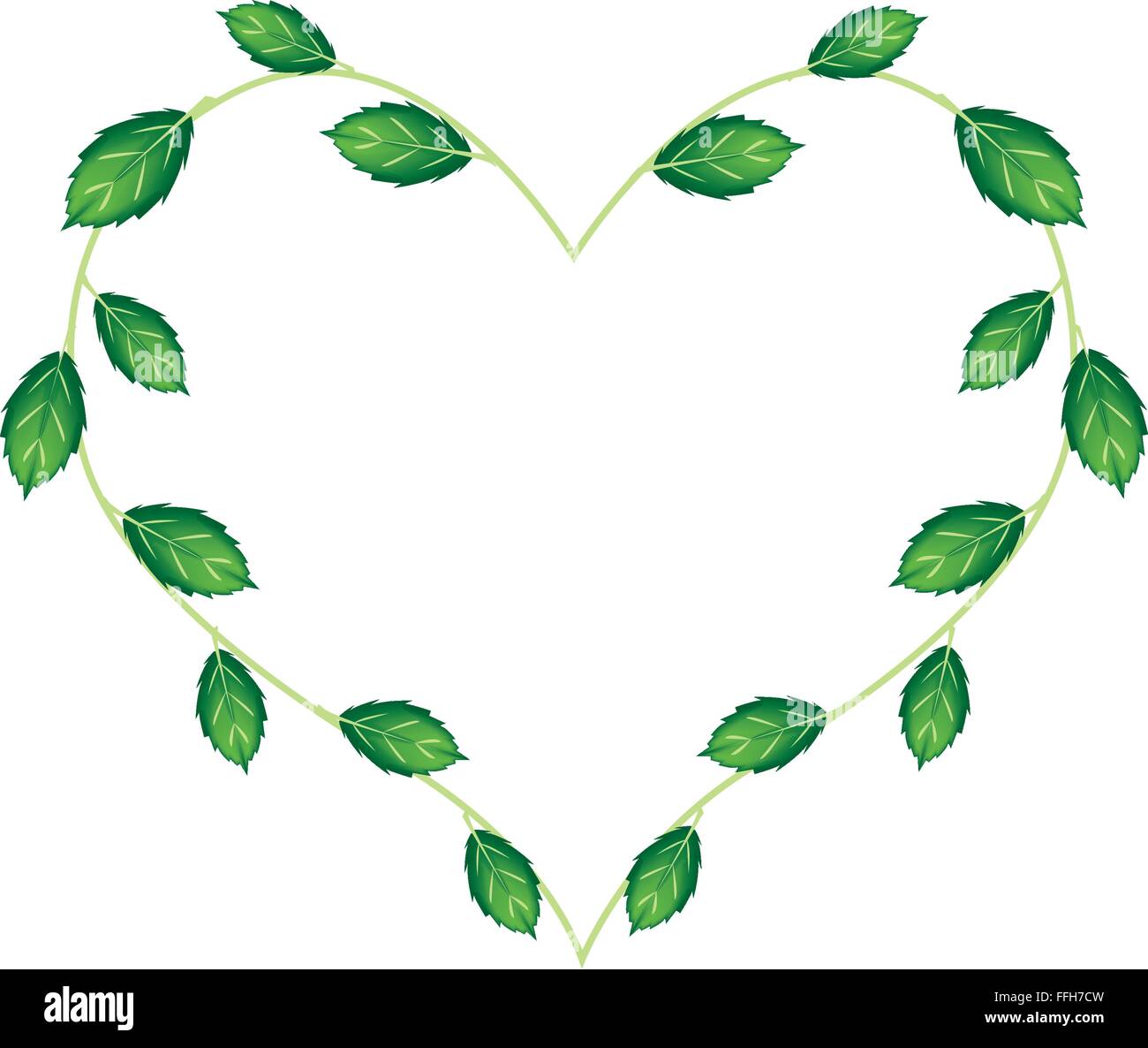 Love Concept, Illustration of Sweet Basil Leaves and Blossoms Forming ...
