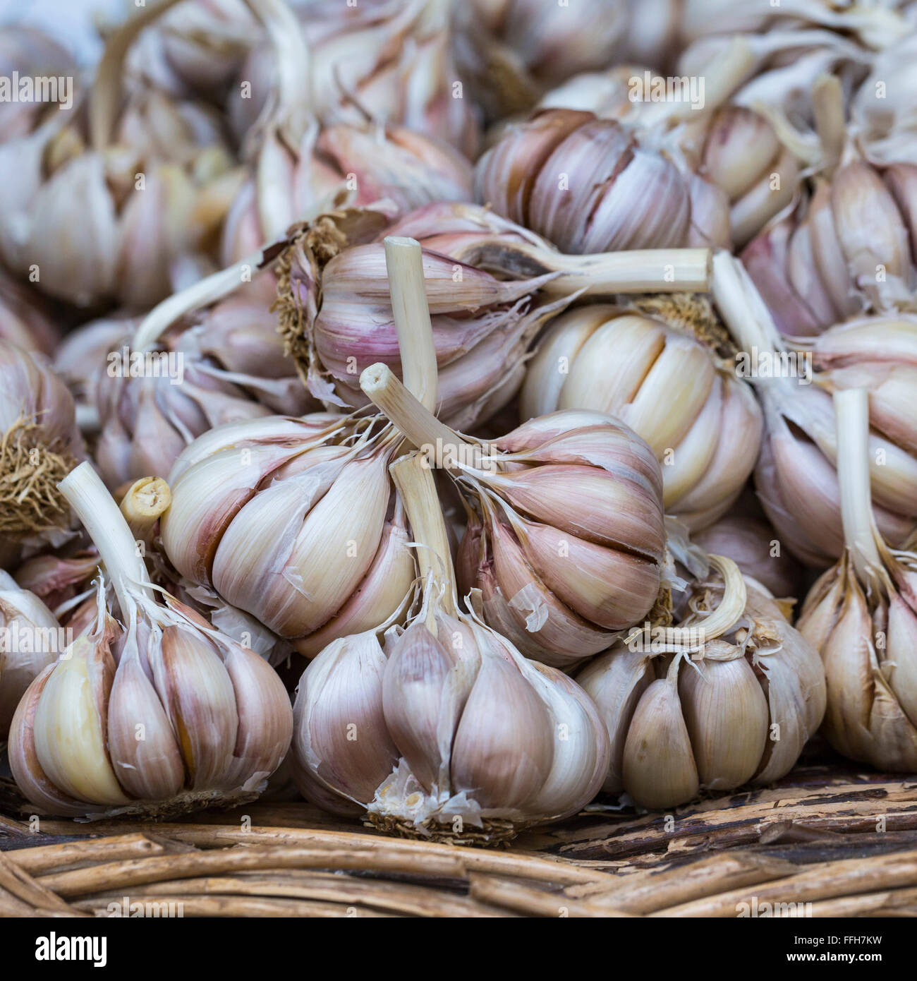 fresh garlics in a market Stock Photo - Alamy