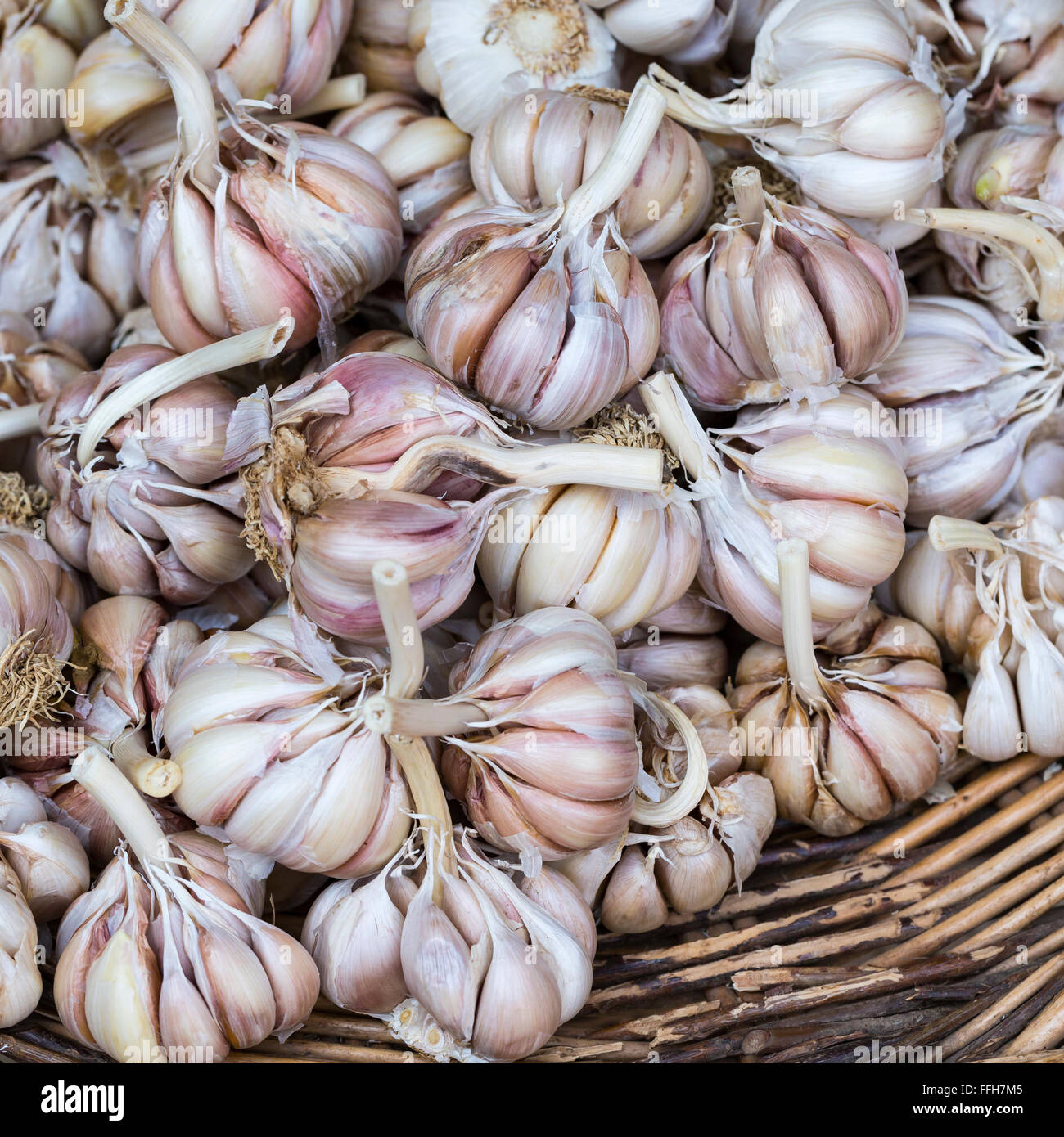 fresh garlics in a market Stock Photo - Alamy