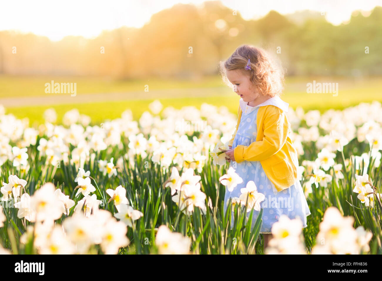 Toddler girl playing in daffodil flower field. Child gardening. Kid ...