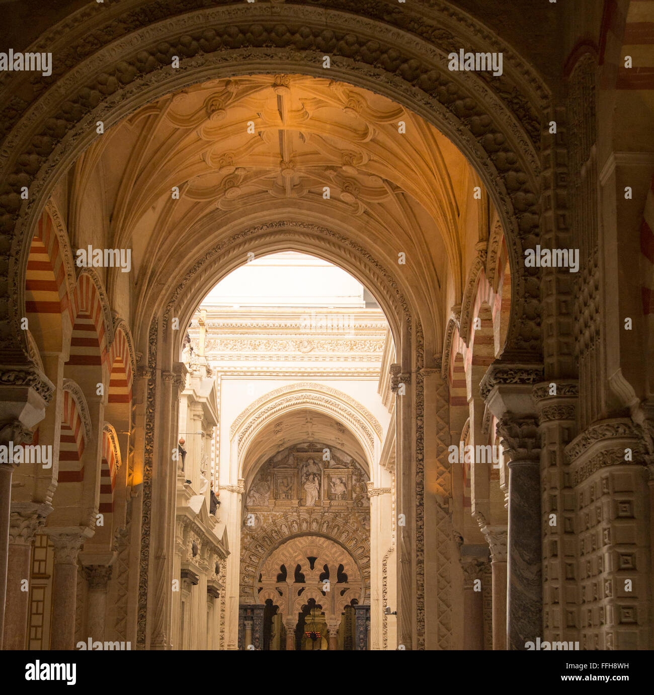 Arched ceilings interior of the cathedral inside the former mosque hi ...